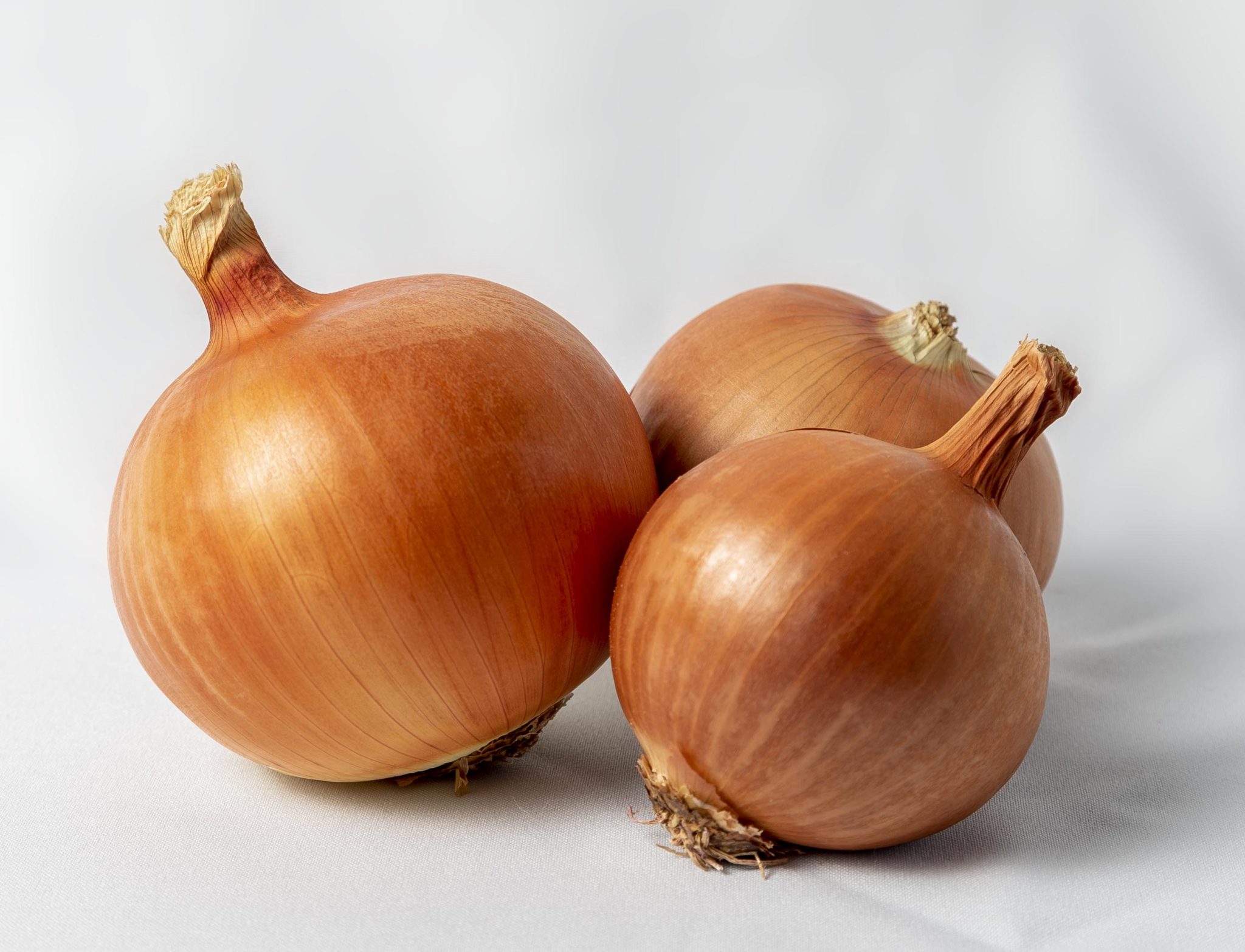 Cebolla blanca – Jacaranda Agricultura Ecológica