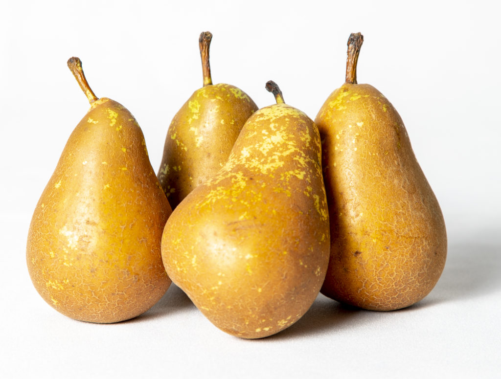 Pera Conferencia – Jacaranda Agricultura Ecológica